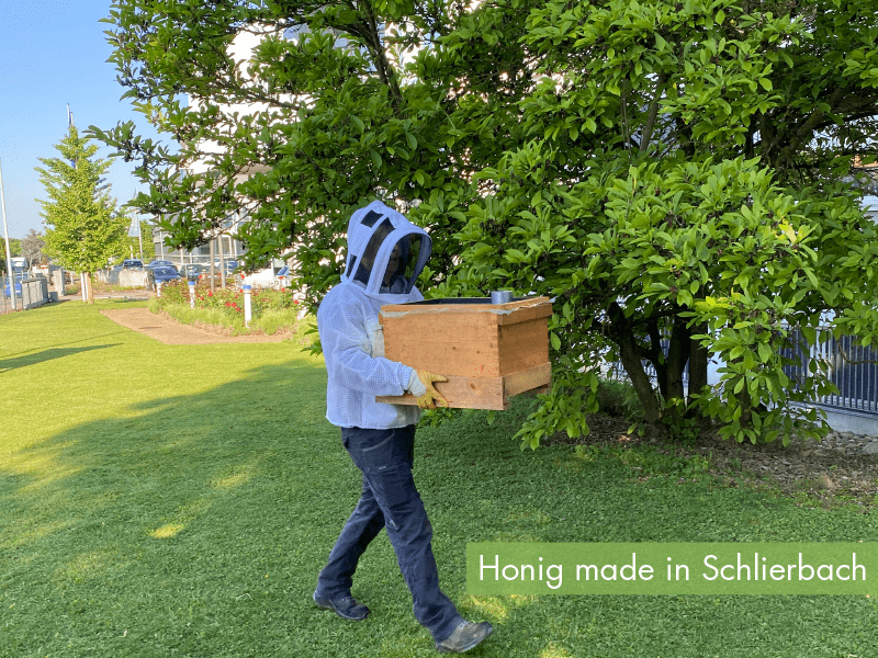 Home [www.zinkpower.com]